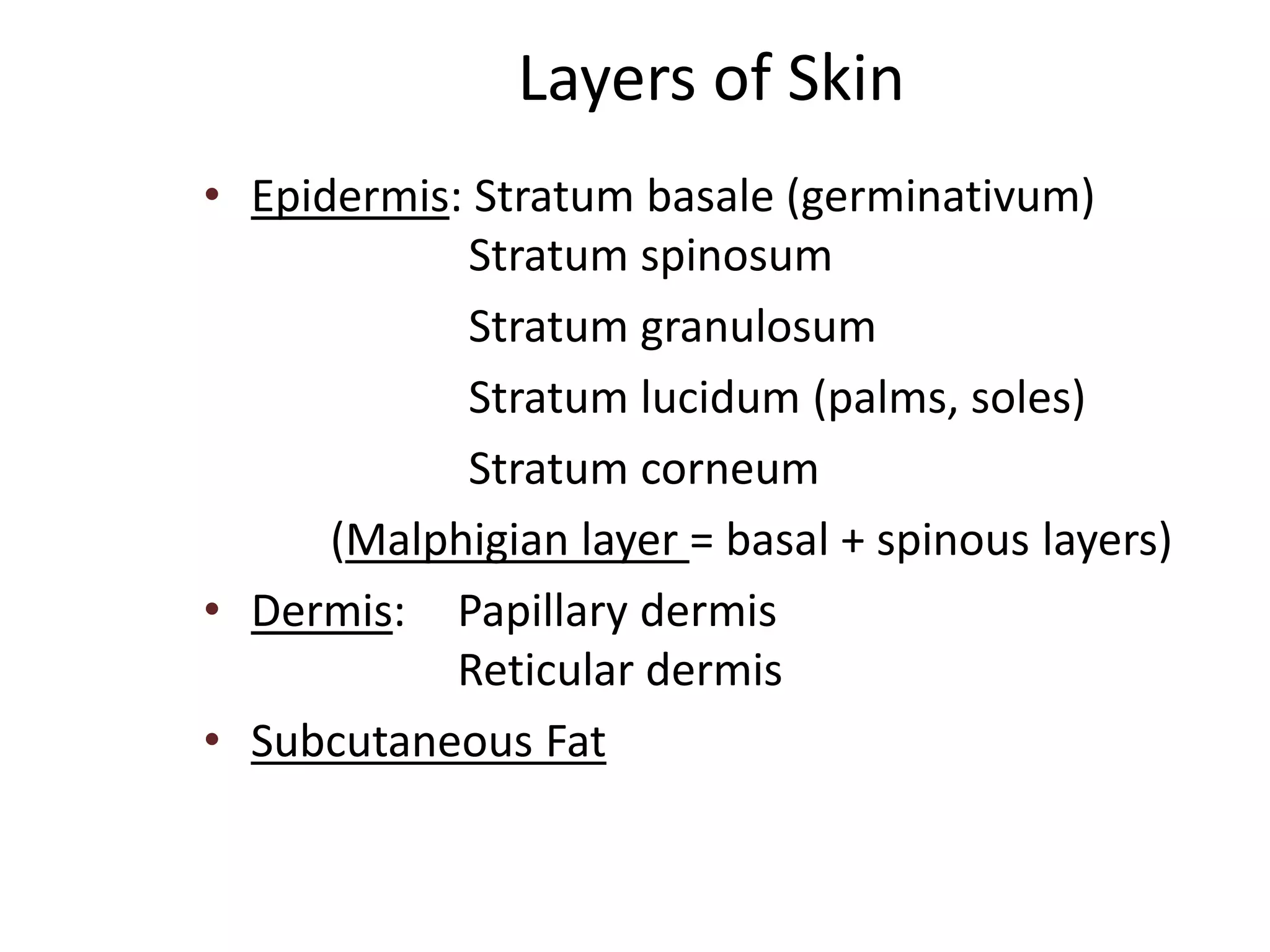 Structure and function of Skin (Integumentary system) - mypharmaguide ...