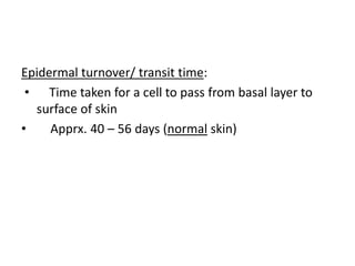 Structure and function of Skin (Integumentary system) - mypharmaguide | PPT