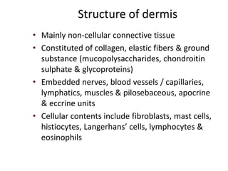 Structure and function of Skin (Integumentary system) - mypharmaguide | PPT