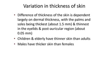 Structure and function of Skin (Integumentary system) - mypharmaguide ...