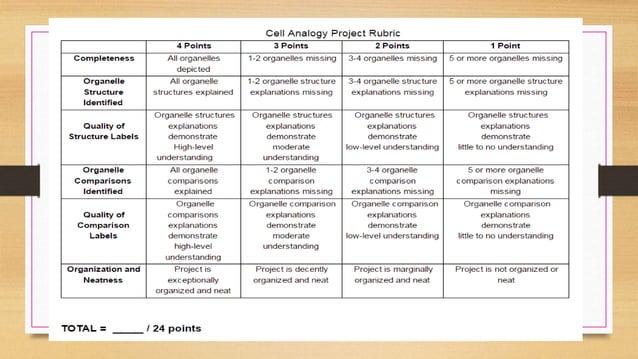 STRUCTURE AND FUNC.pptx