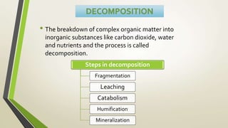 Structure and function | PPTX
