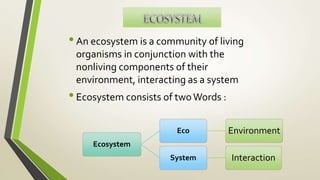 Structure and function | PPTX
