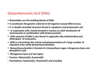 Structure and Functional of DNA pdf.pdf