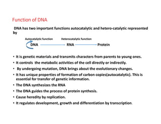 Structure and Functional of DNA pdf.pdf