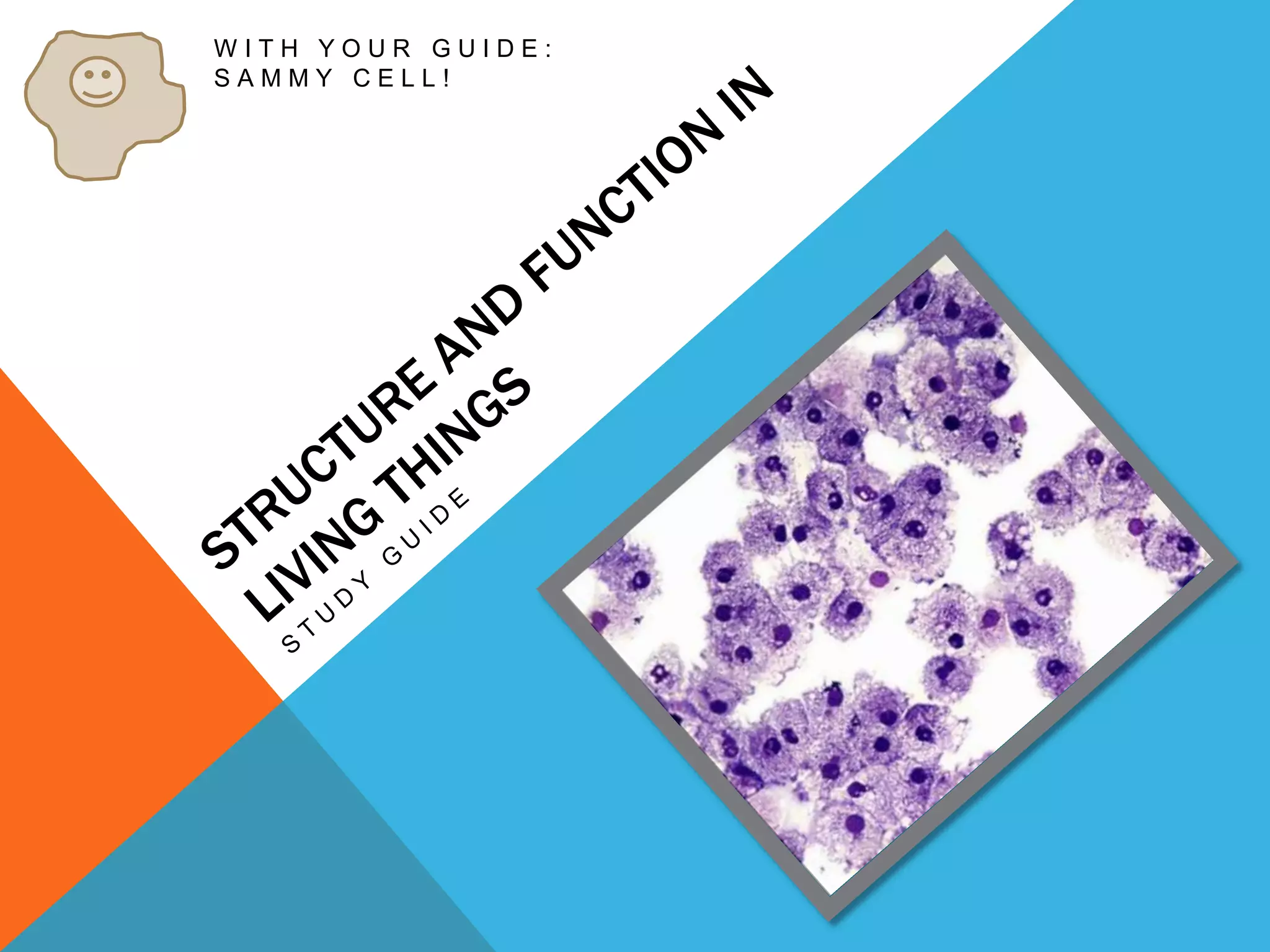 Structure and function in living things | PPTX
