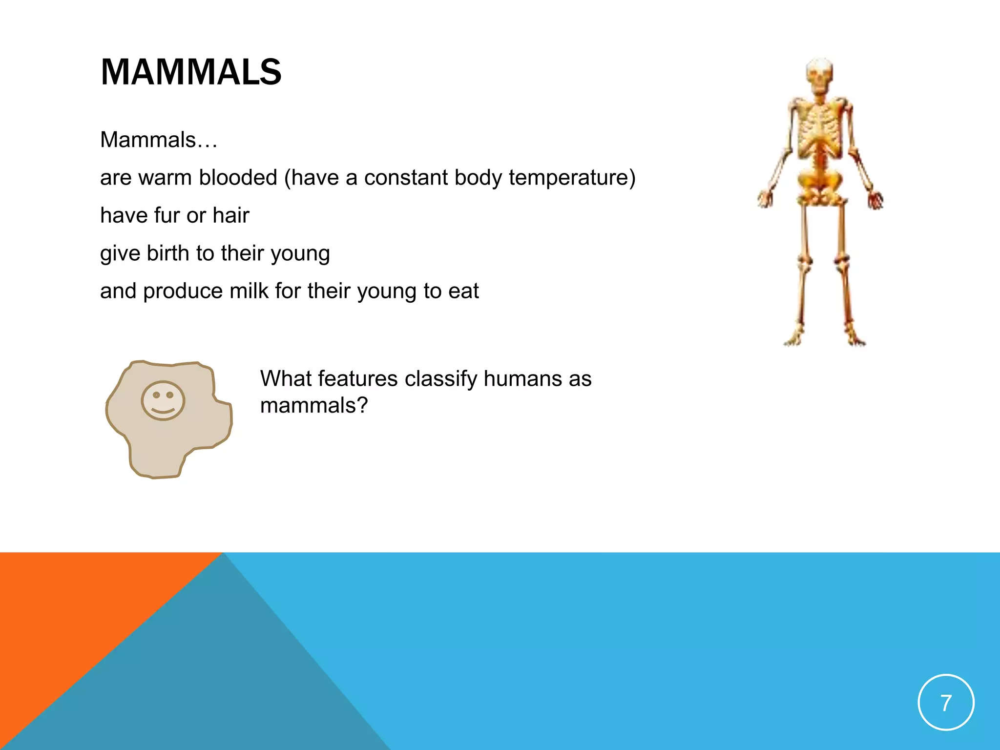 Structure and function in living things | PPTX