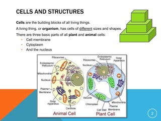 Structure and function in living things | PPTX