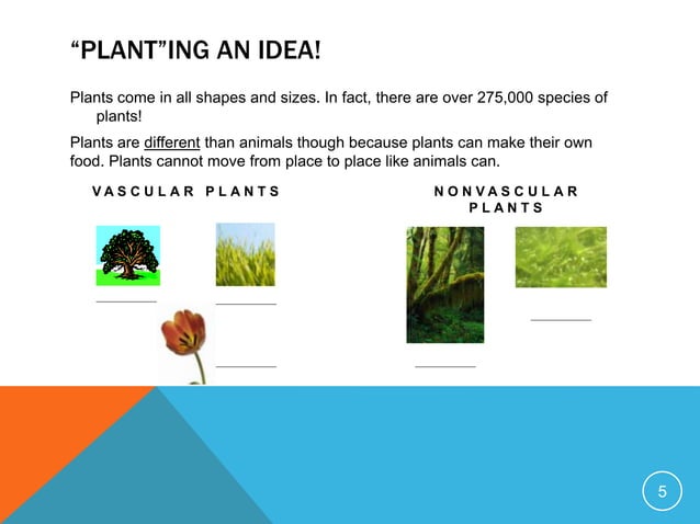 Structure and function in living things | PPTX | Biological Sciences ...