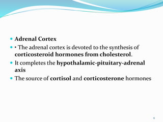Structure and function of adrenal glands | PPTX