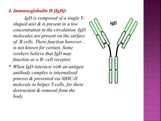 Structure and function of antibody molecules | PPTX