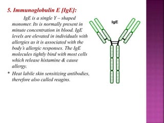 Structure and function of antibody molecules | PPTX