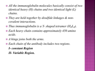Structure and function of antibody molecules | PPTX