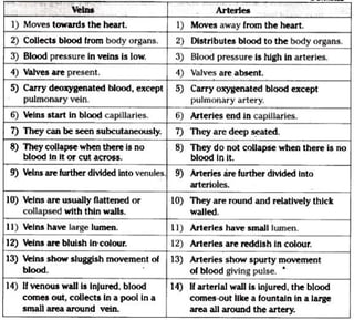 Capillaries Veins And Arteries Structure And Function
