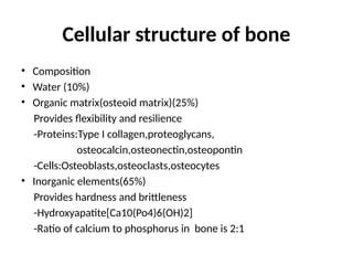 Structure and function of bone powerpoint presentation .pptx