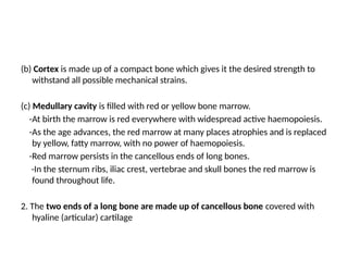 Structure and function of bone powerpoint presentation .pptx