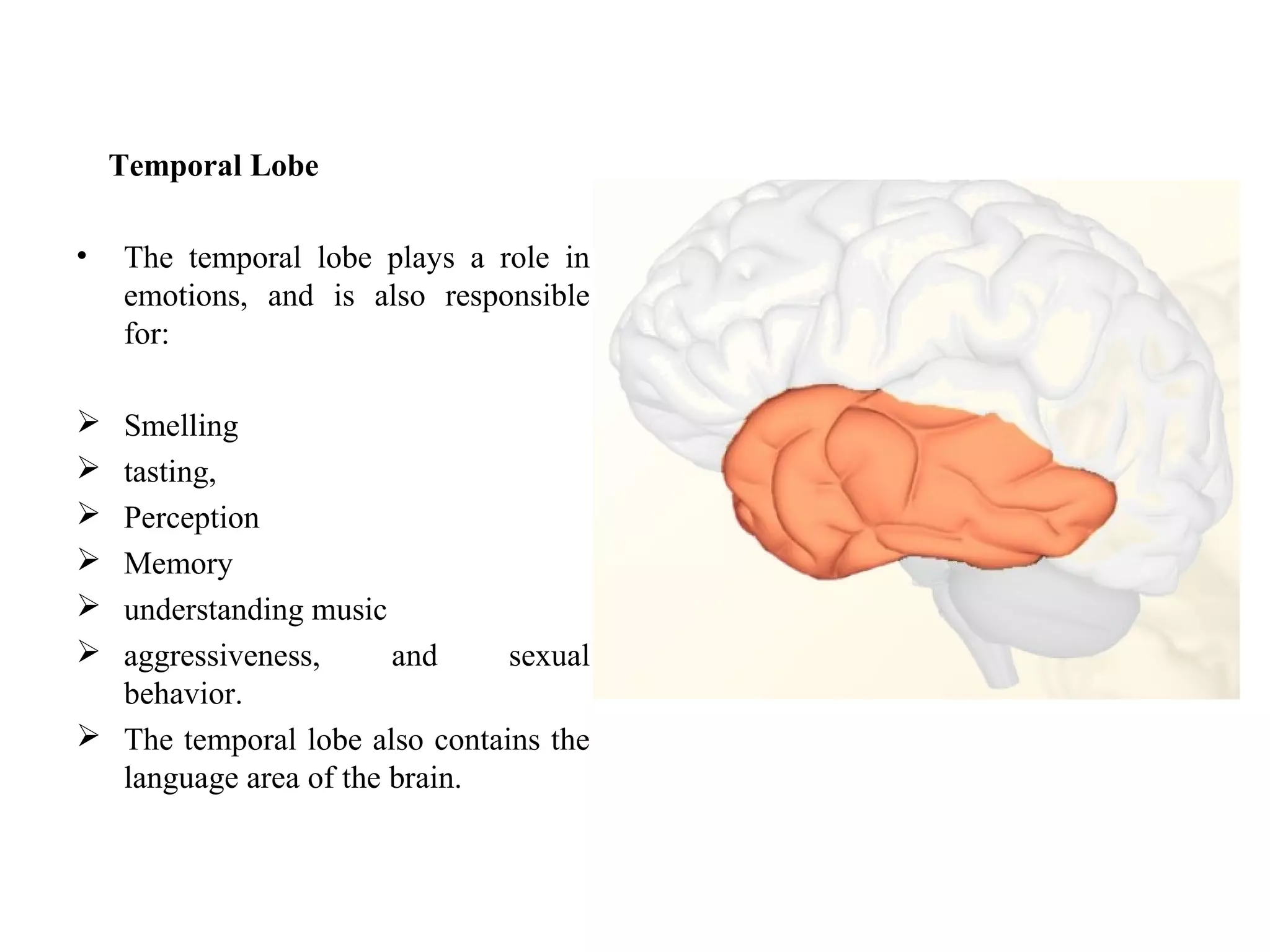 Structure and function of brain | PPT