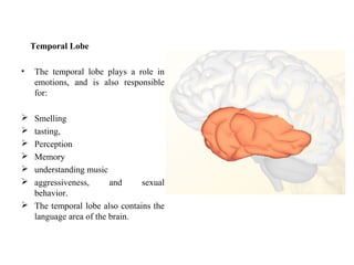 Structure and function of brain | PPT