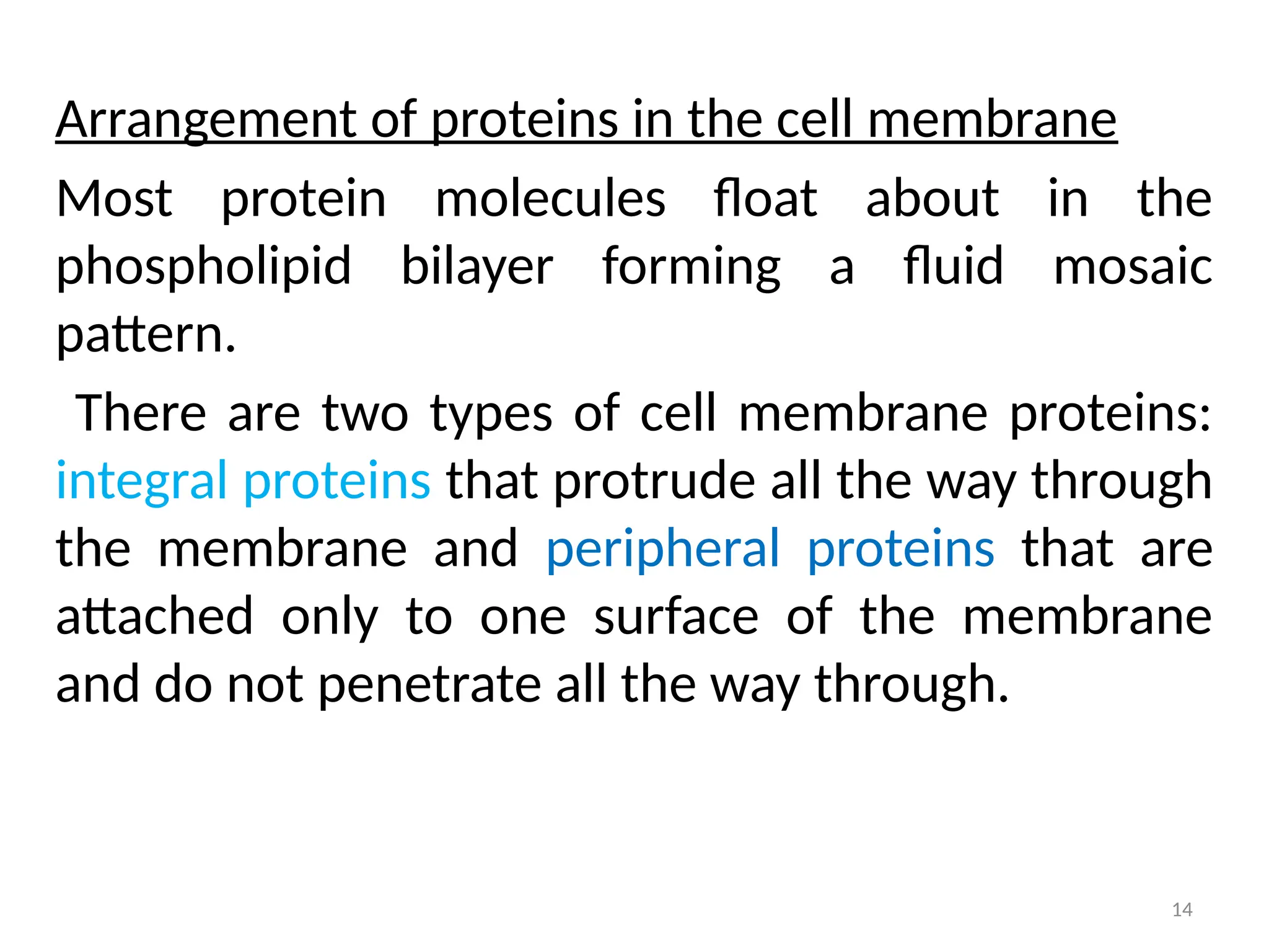 Structure and function of Mammalian cell | PPTX