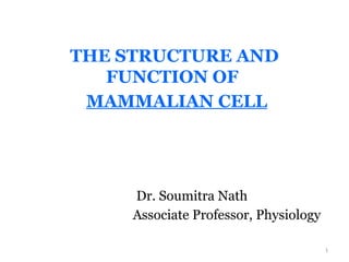 Structure and function of Mammalian cell | PPTX
