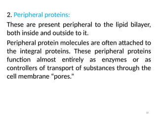 Structure and function of Mammalian cell | PPTX