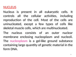 Structure and function of Mammalian cell | PPTX