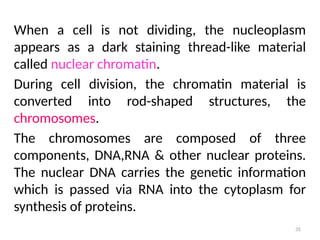 Structure and function of Mammalian cell | PPTX