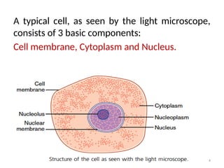 Structure and function of Mammalian cell | PPTX