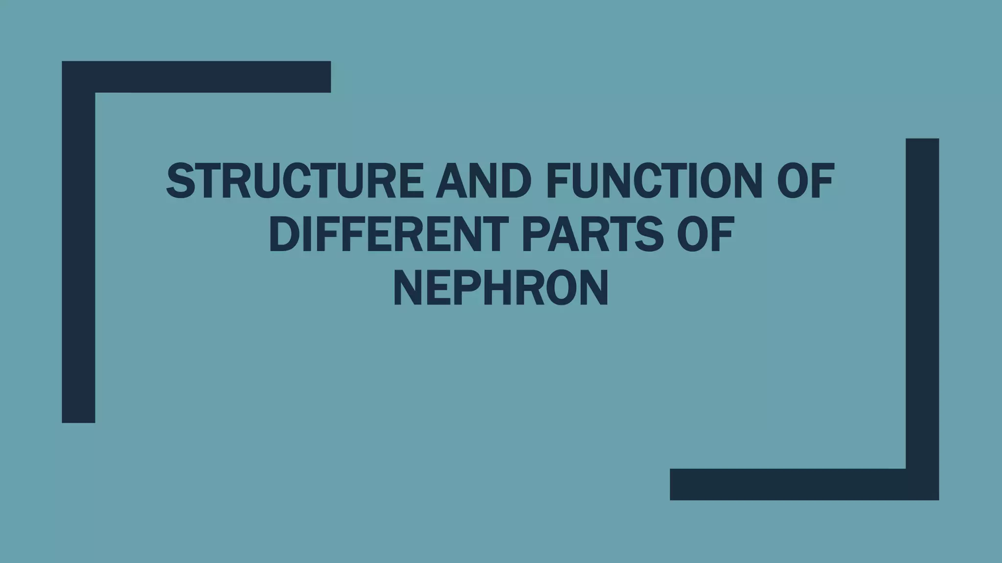 Structure and function of different parts of nephron.pptx