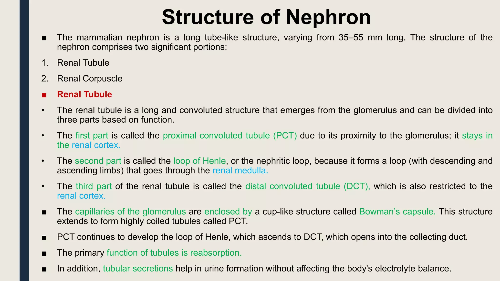 Structure and function of different parts of nephron.pptx