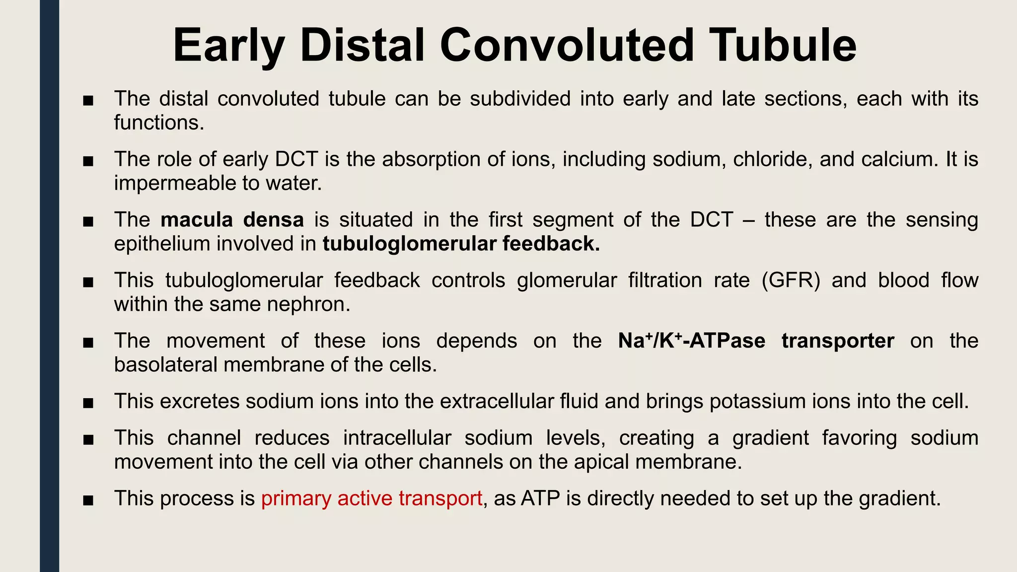 Structure and function of different parts of nephron.pptx