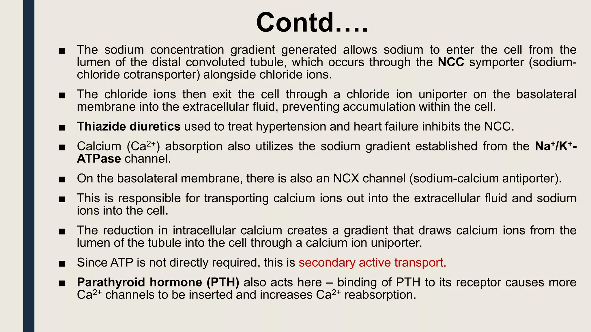 Structure and function of different parts of nephron.pptx