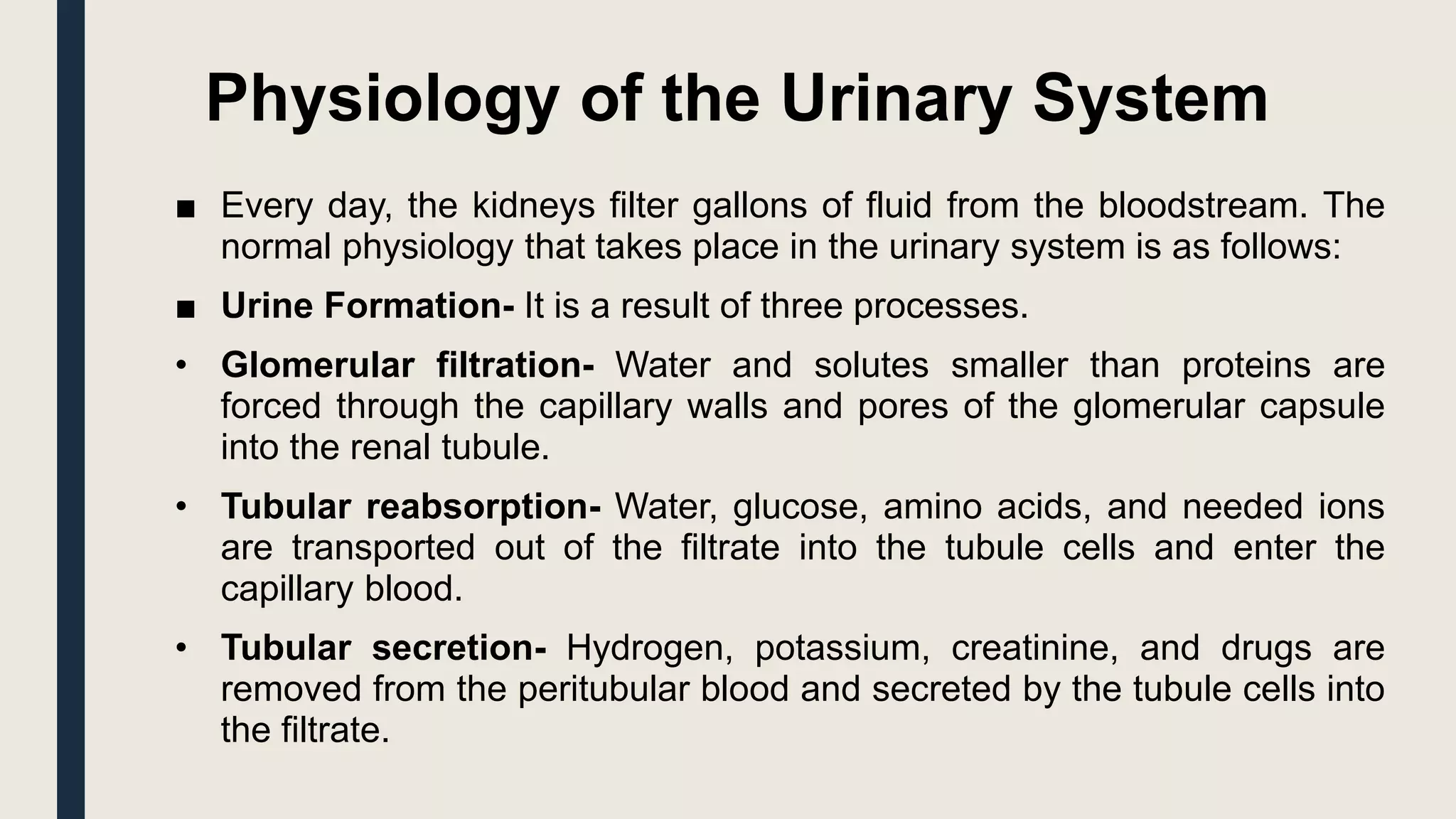 Structure and function of different parts of nephron.pptx
