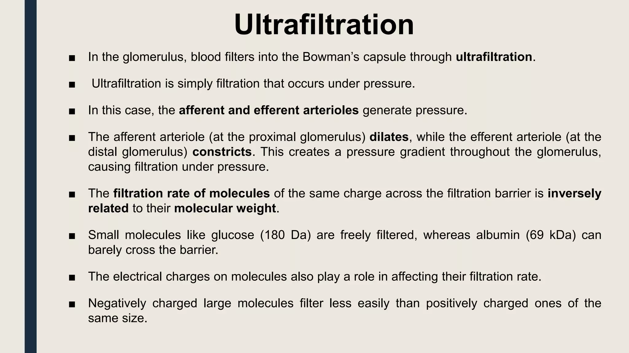 Structure and function of different parts of nephron.pptx