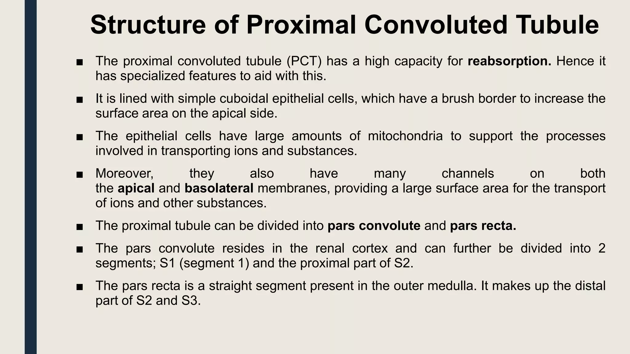 Structure and function of different parts of nephron.pptx
