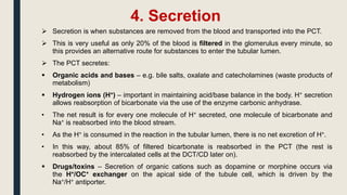 Structure and function of different parts of nephron.pptx