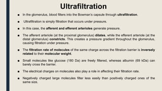Structure and function of different parts of nephron.pptx