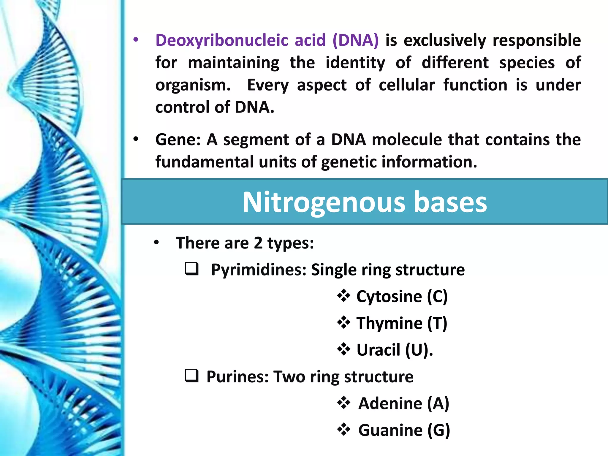 Structure and function of DNA.pptx