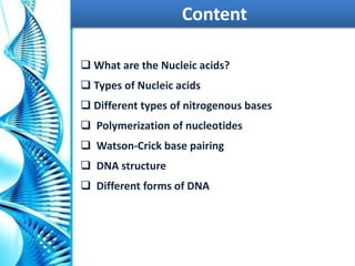 Structure and function of DNA.pptx
