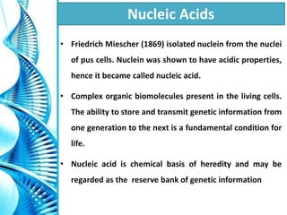 Structure and function of DNA.pptx