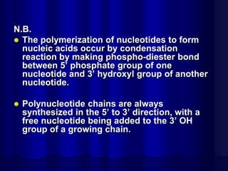 Structure and function of DNA.ppt