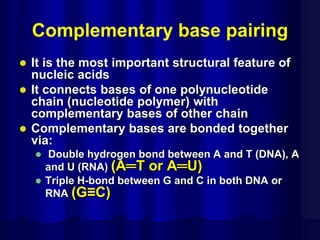 Structure and function of DNA.ppt
