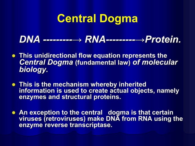 Structure and function of DNA.ppt
