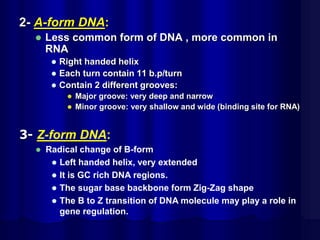 Structure and function of DNA.ppt