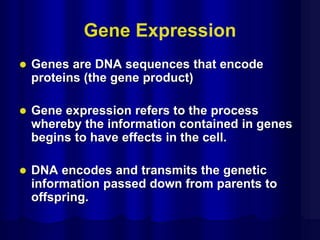 Structure and function of DNA.ppt