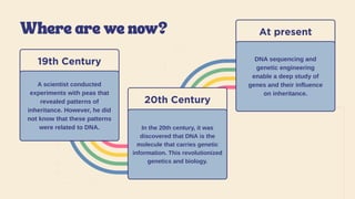Structure and function of DNA presentation_20240204_205749_0000.pptx