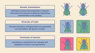 Structure and function of DNA presentation_20240204_205749_0000.pptx