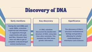 Structure and function of DNA presentation_20240204_205749_0000.pptx