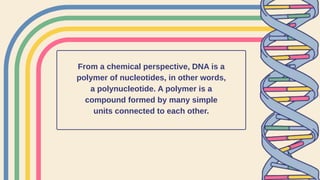 Structure and function of DNA presentation_20240204_205749_0000.pptx