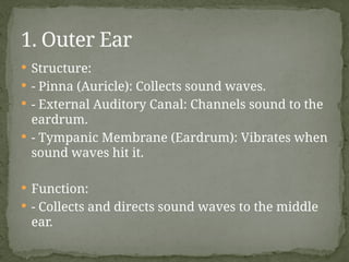 structure and function of ear presentation - Priya Ghosh.pptx